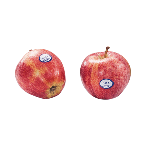 Sinclair Labels | Meier Verpackungen